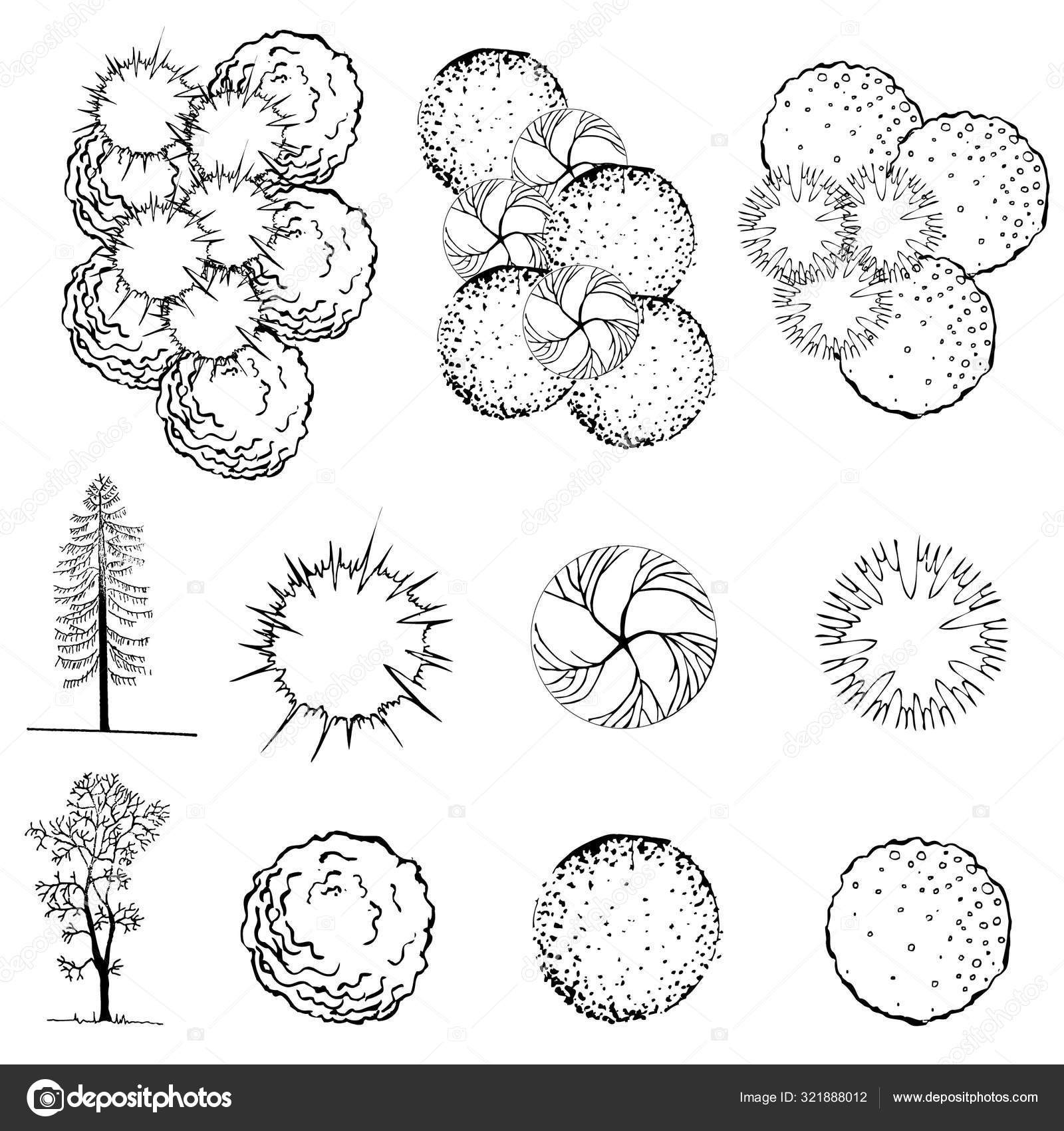 Set Treetop Symbols Architectural Landscape Design Stock Vector by ...