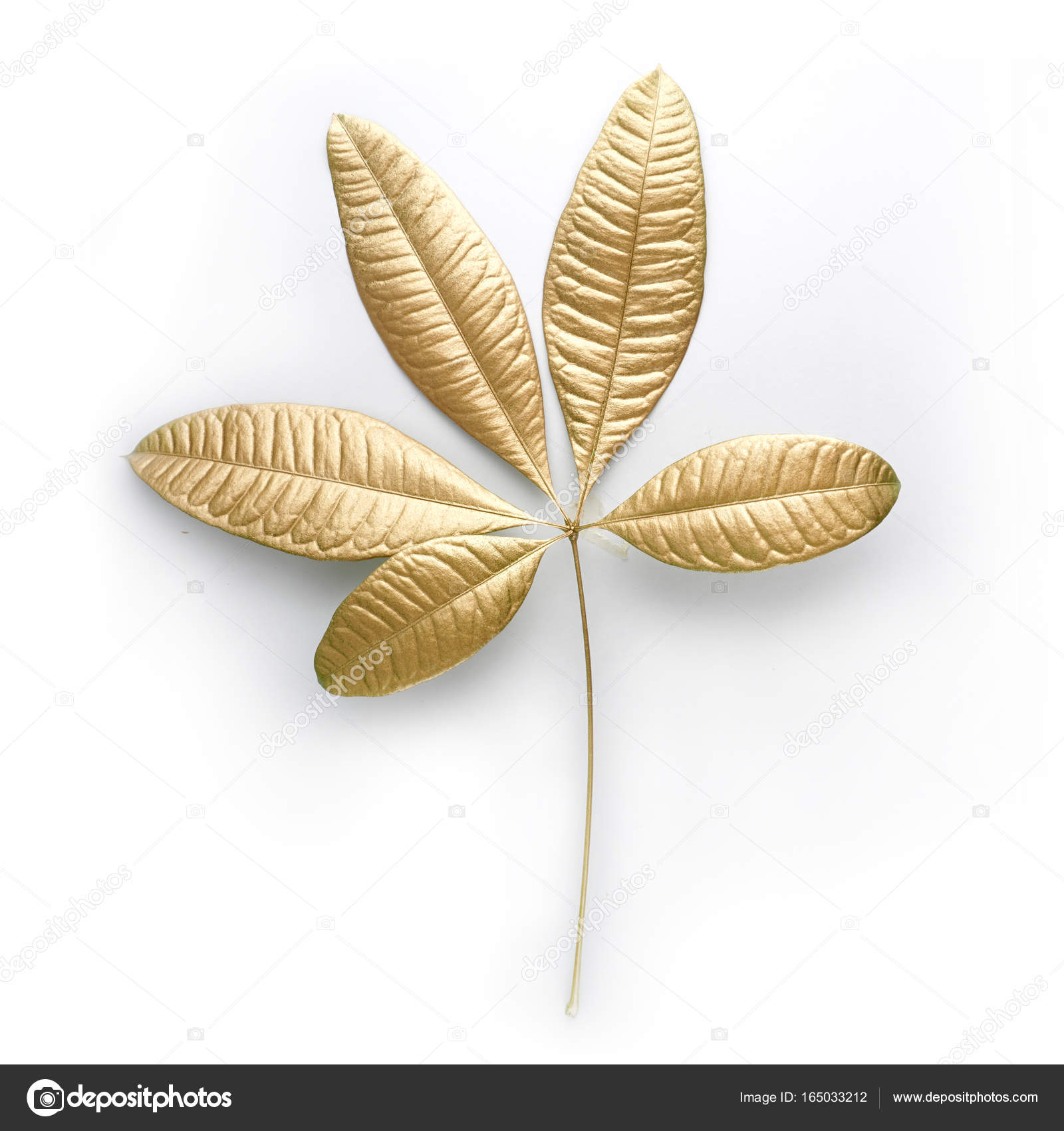 Golden leaf design elements. Decoration elements for invitation ...