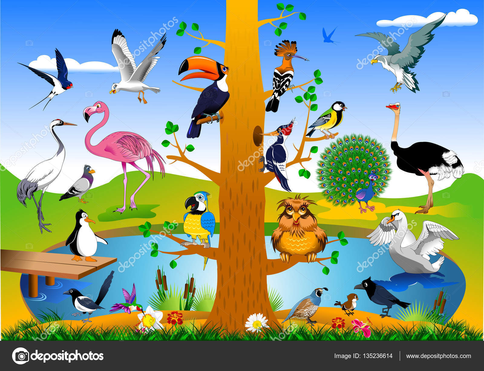 Bird kingdom illustratin — Stock Vector © sababa66 #135236614