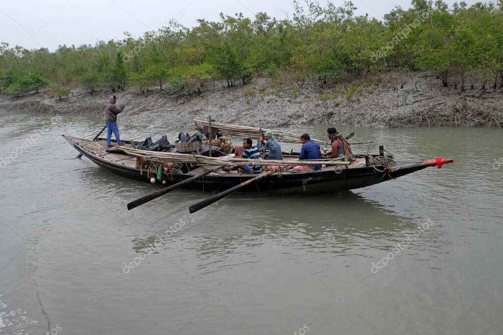 Barco de remos en las zonas pantanosas de los Sundarbans, Patrimonio de ...