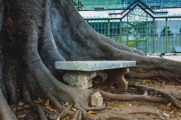 Tree holding a book Stock Photos, Royalty Free Tree holding a book ...
