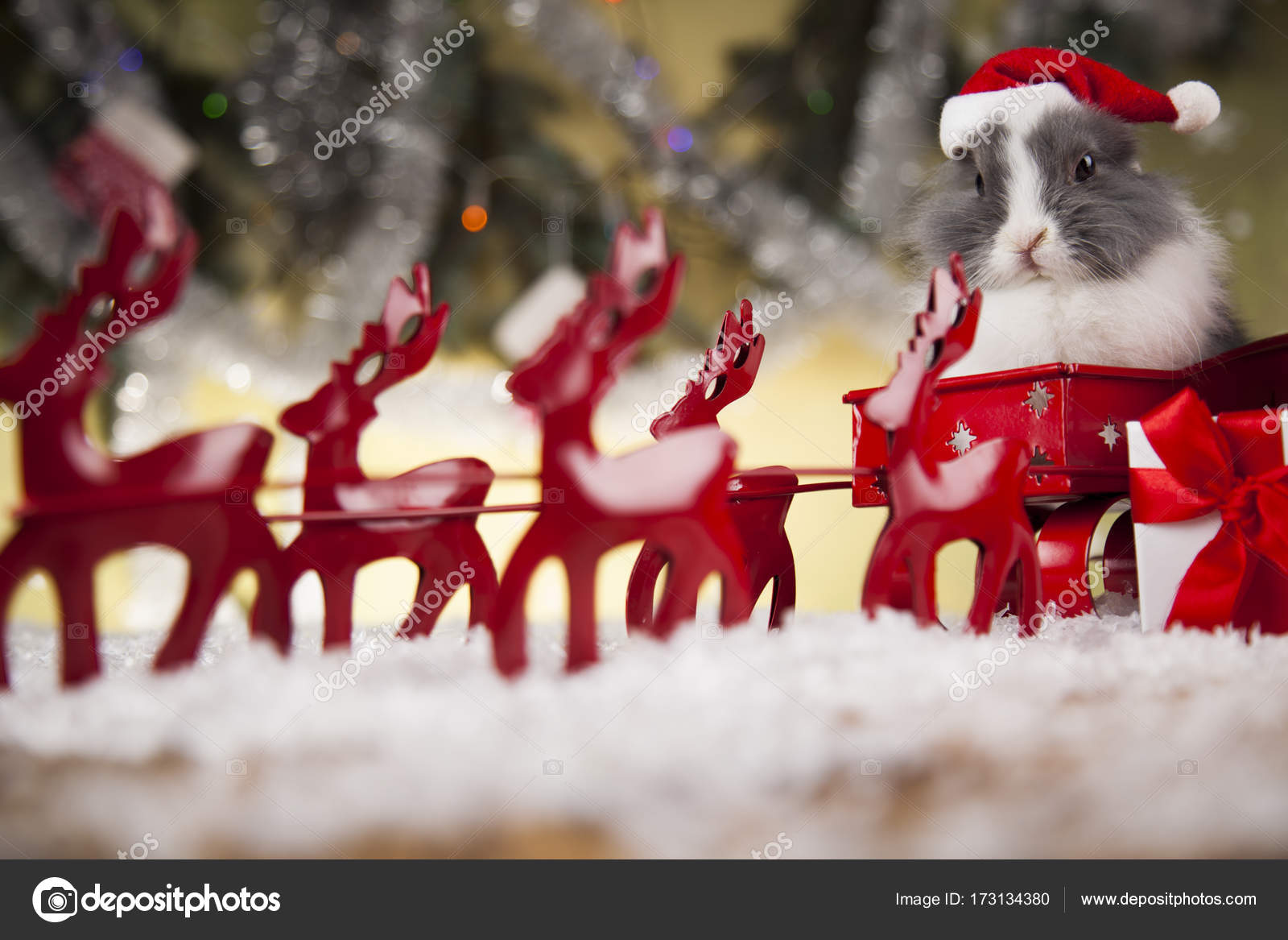 Bunny on Christmas background Stock Photo by ©JanPietruszka 173134380