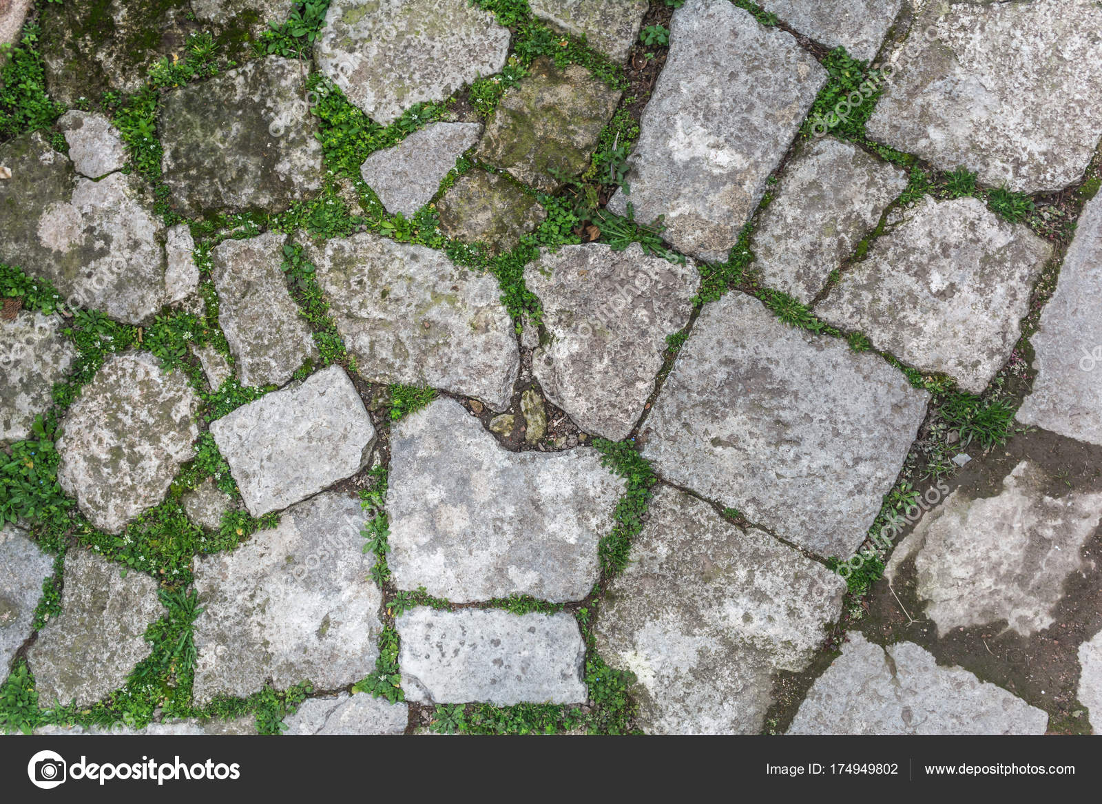 Footpath Texture With Grass
