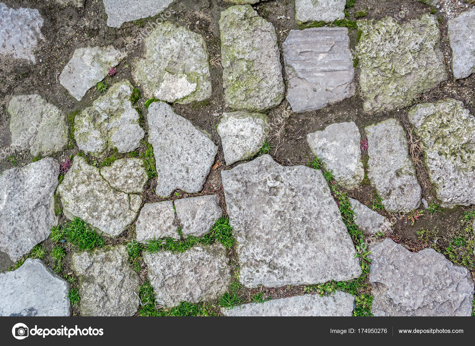 Footpath Texture With Grass