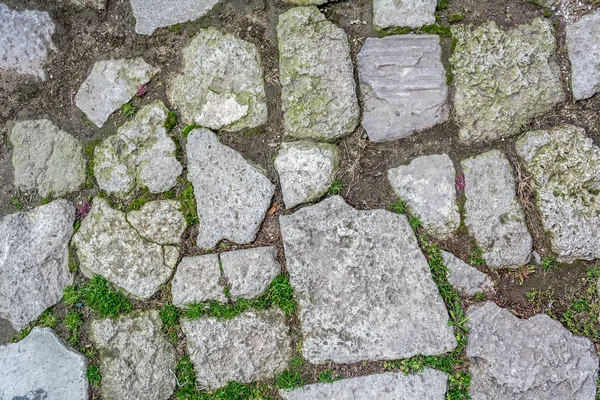 Stone Path Texture