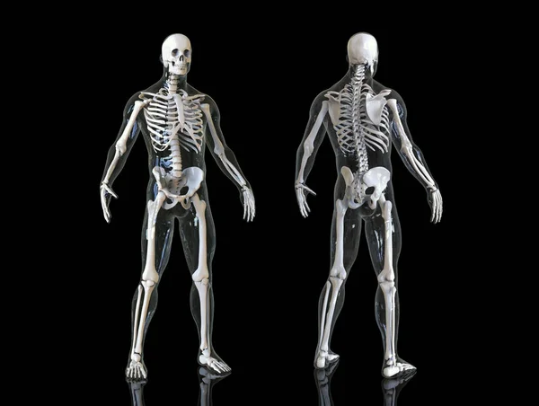 Dead human body Stock Photos, Royalty Free Dead human body Images ...