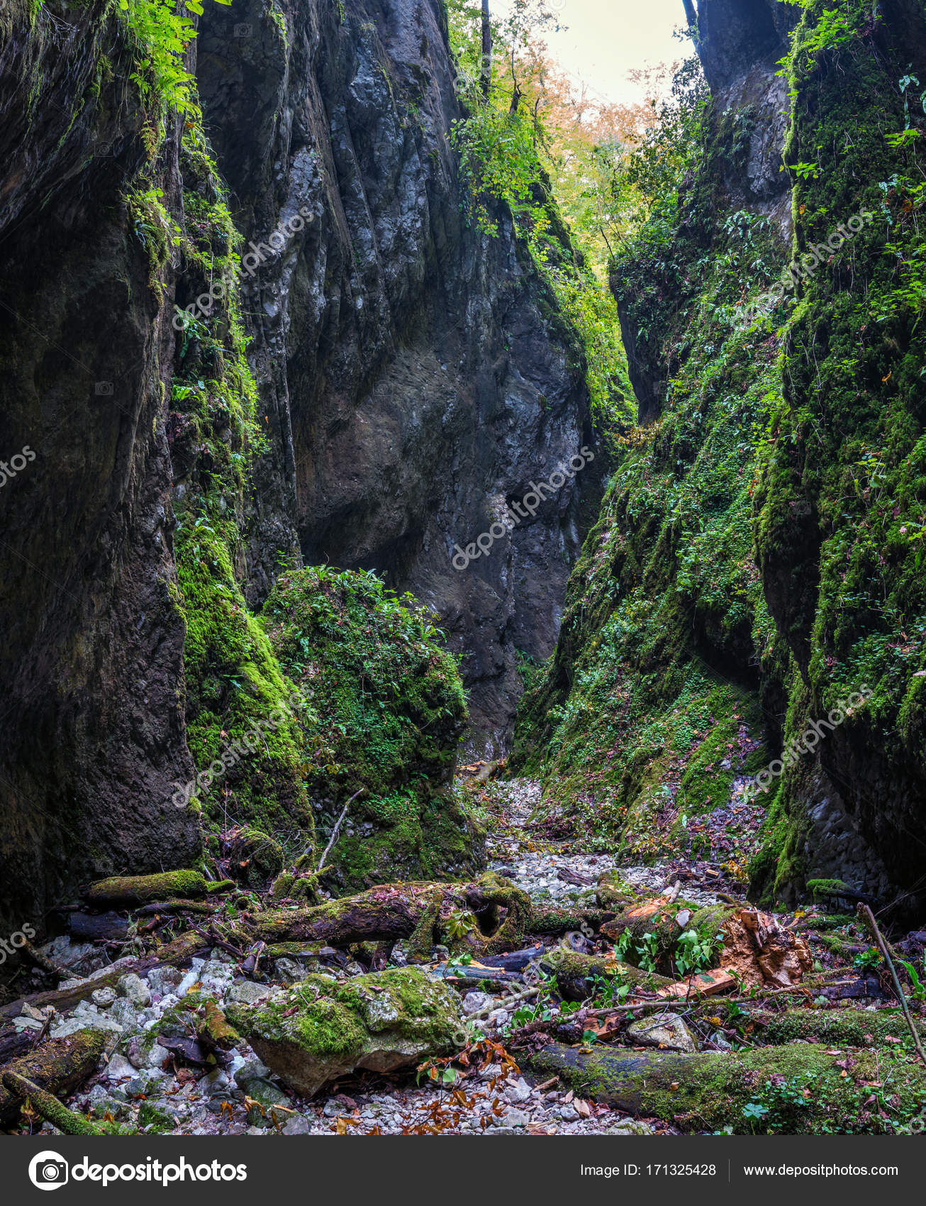 Beautiful landscape with canyon — Stock Photo © Xalanx #171325428