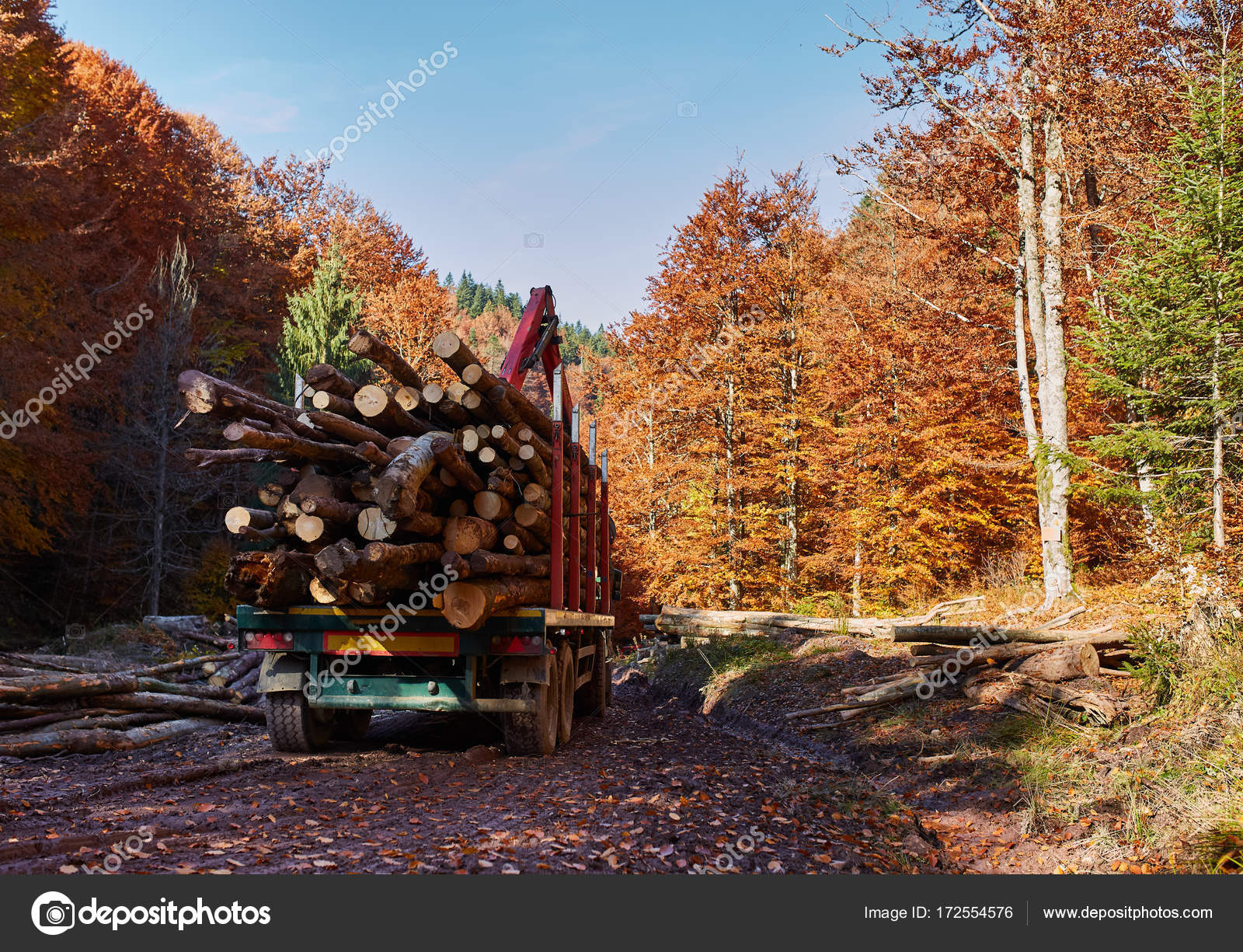 Lorry transporting wood — Stock Photo © Xalanx #172554576