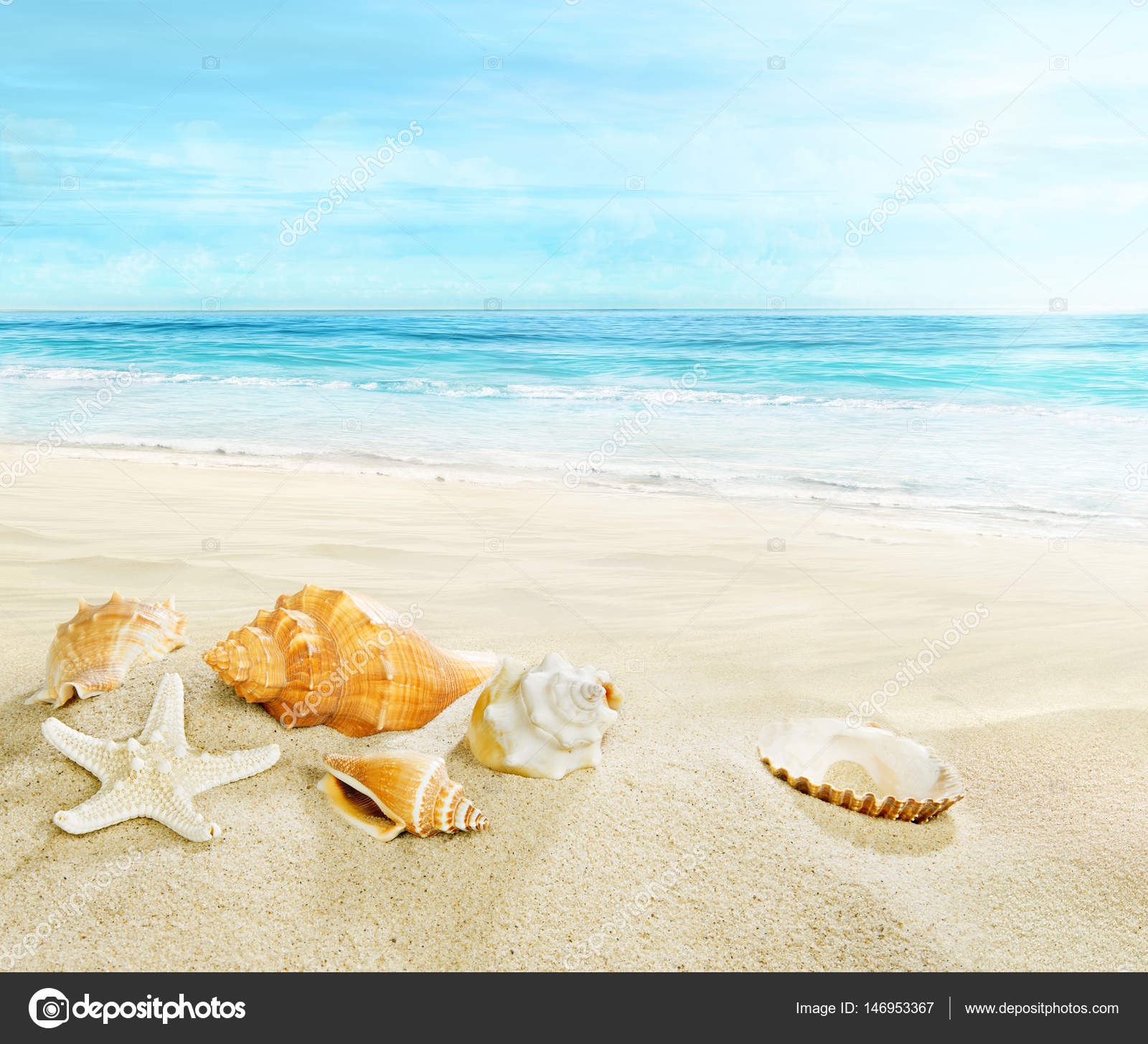 Beach Sand With Shells