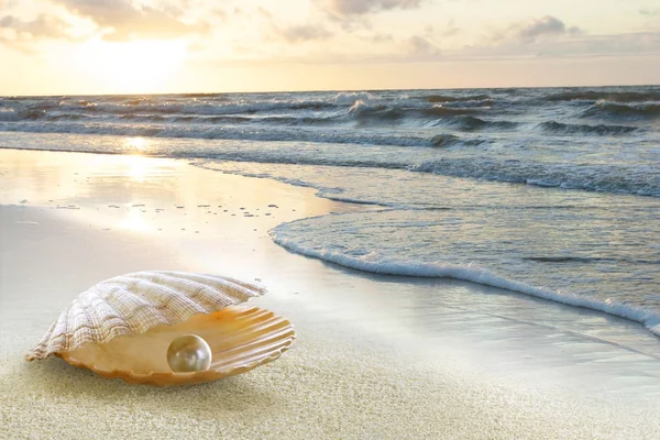 Shell with a pearl — Stock Photo © silvae #6574593
