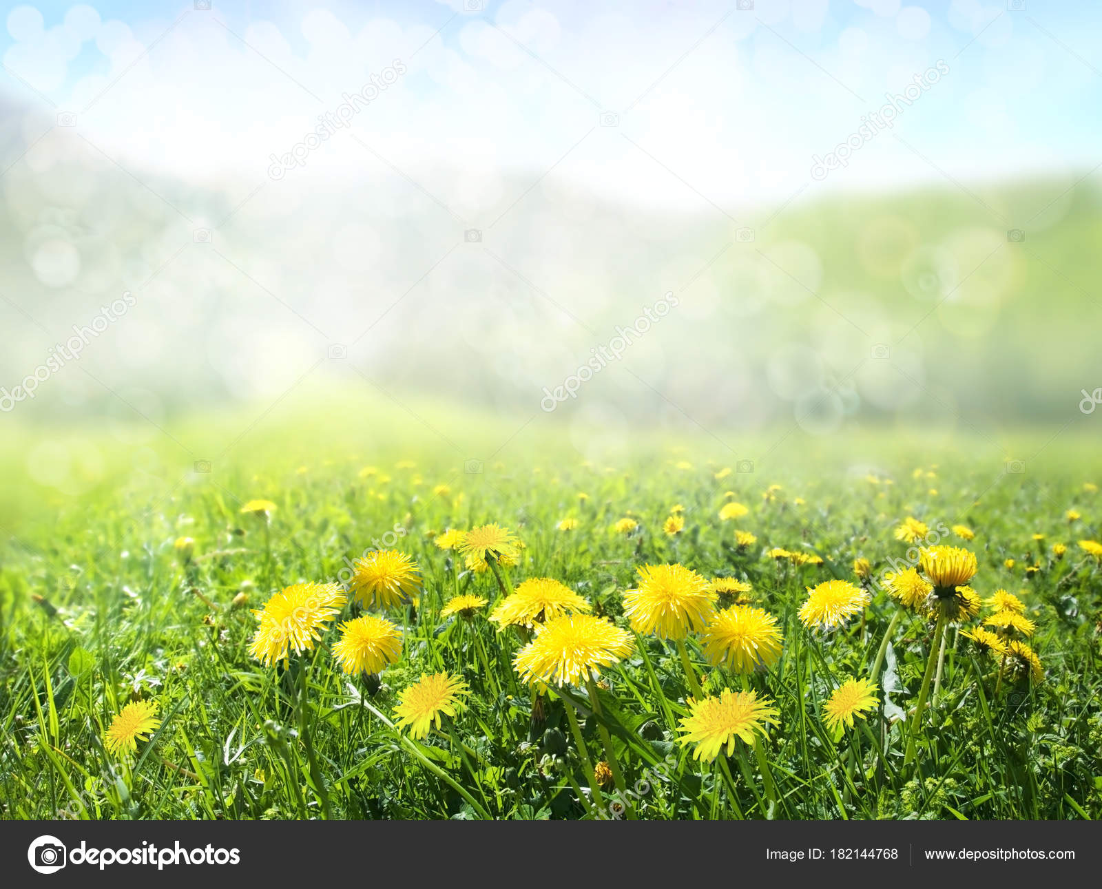 Spring Nature Background Field Dandelions Mountains Stock Photo by ...