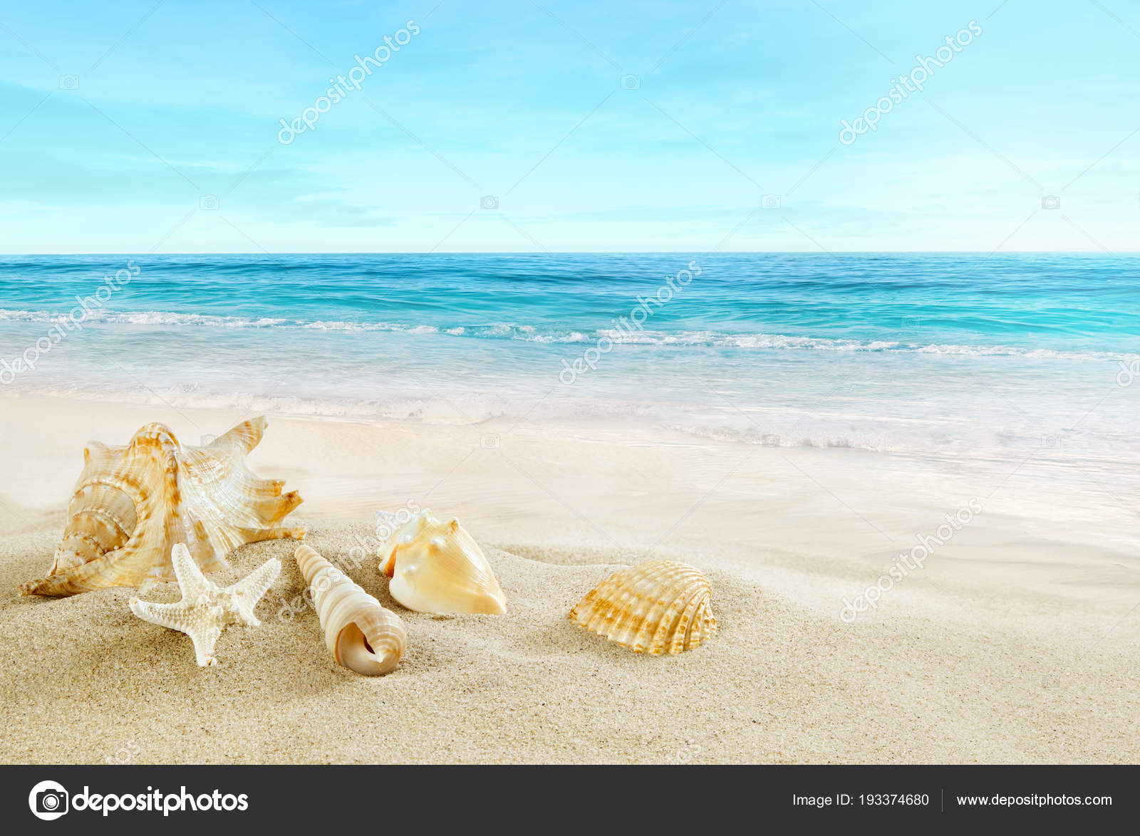 Tropical Beach Shells Sand Stock Photo by ©silvae 193374680
