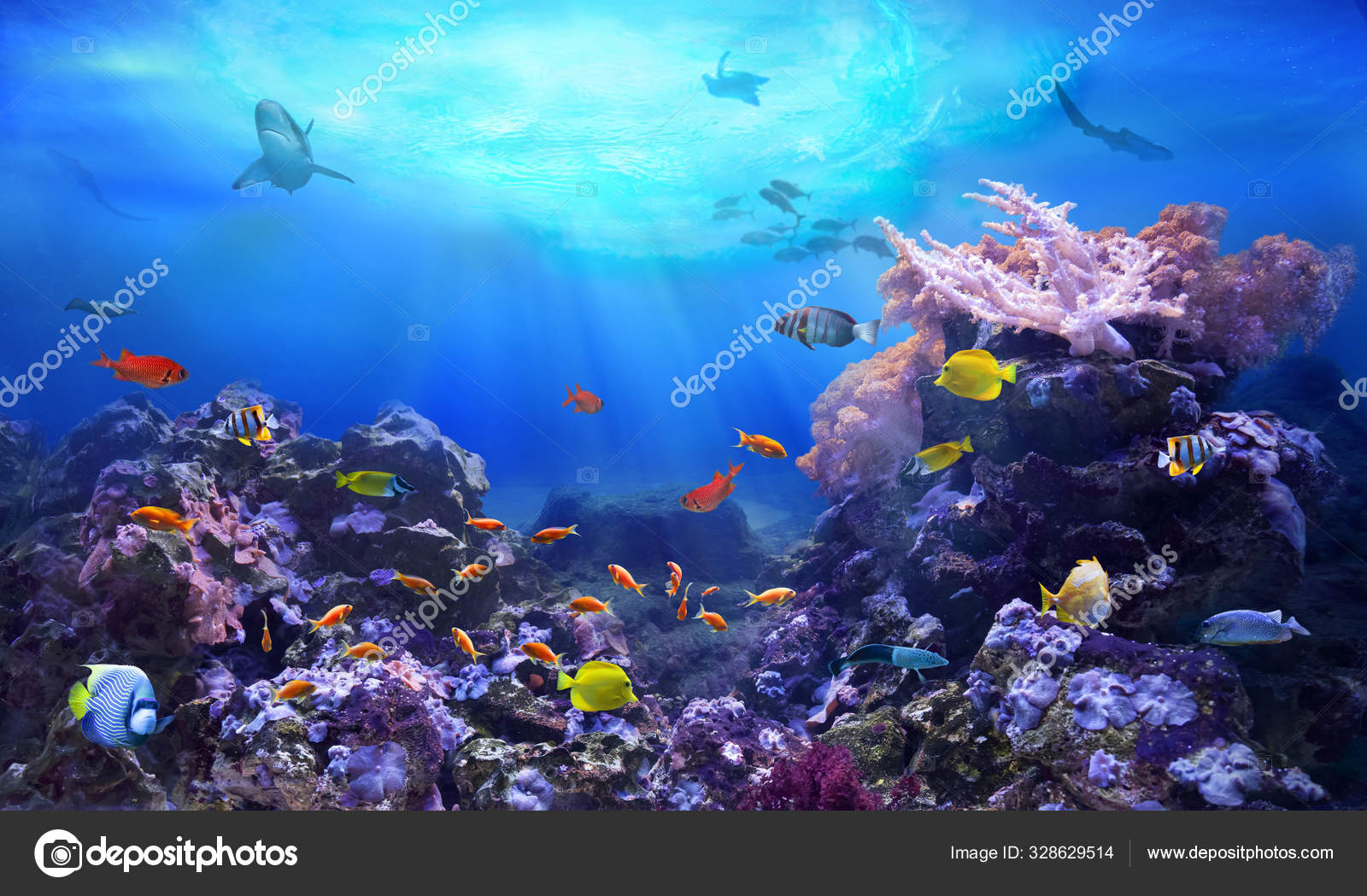 Coral Reef Ecosystem Underwater Sea World Life Ocean Colorful Tropical ...