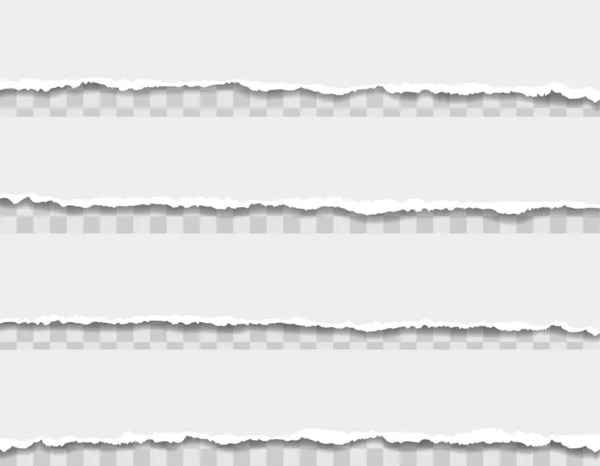 Page rip border Vector Art Stock Images | Depositphotos