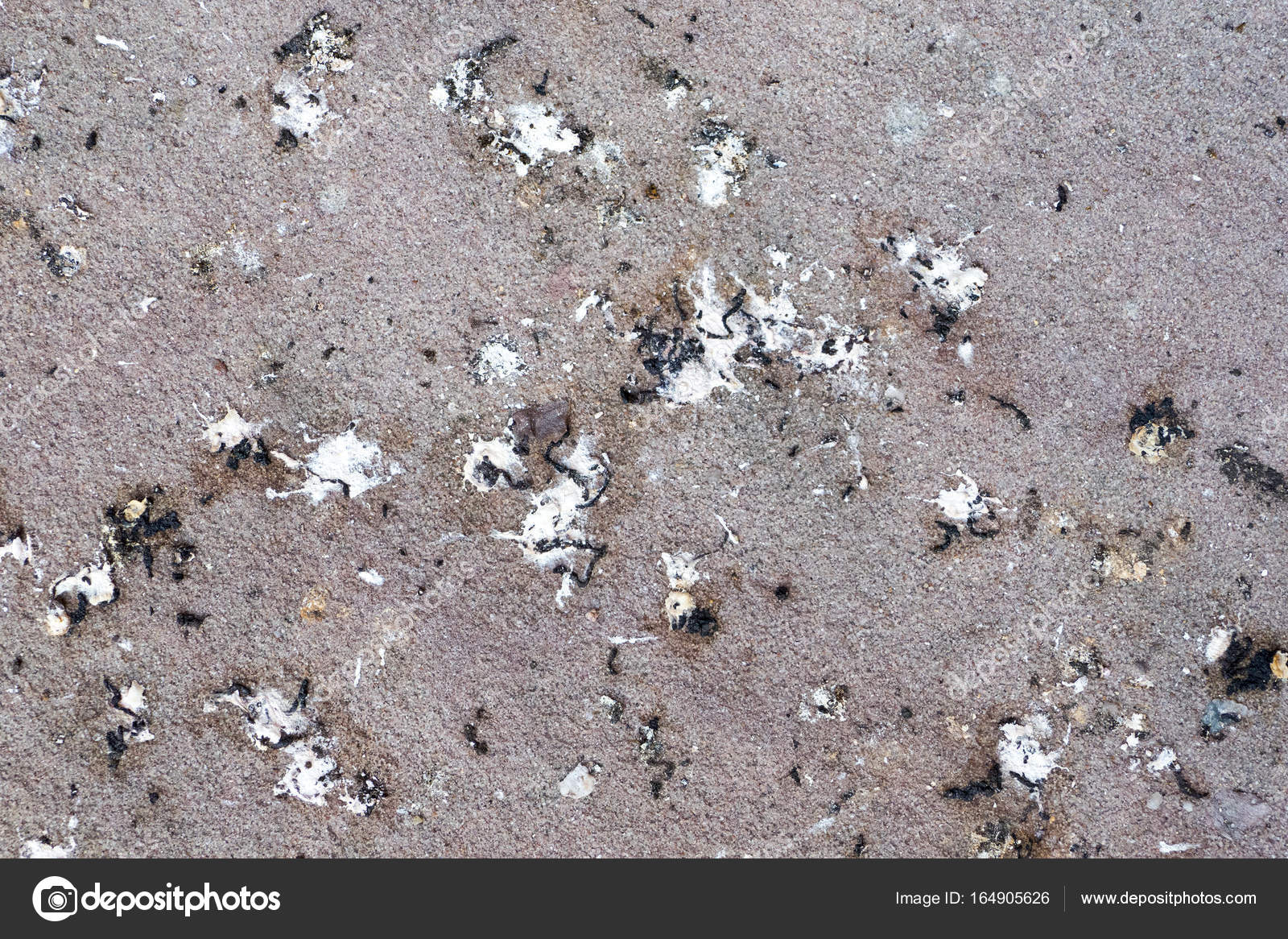 Caca Sur Le Sol Top 15 Des Meilleurs Détournements De La Pub Nike,