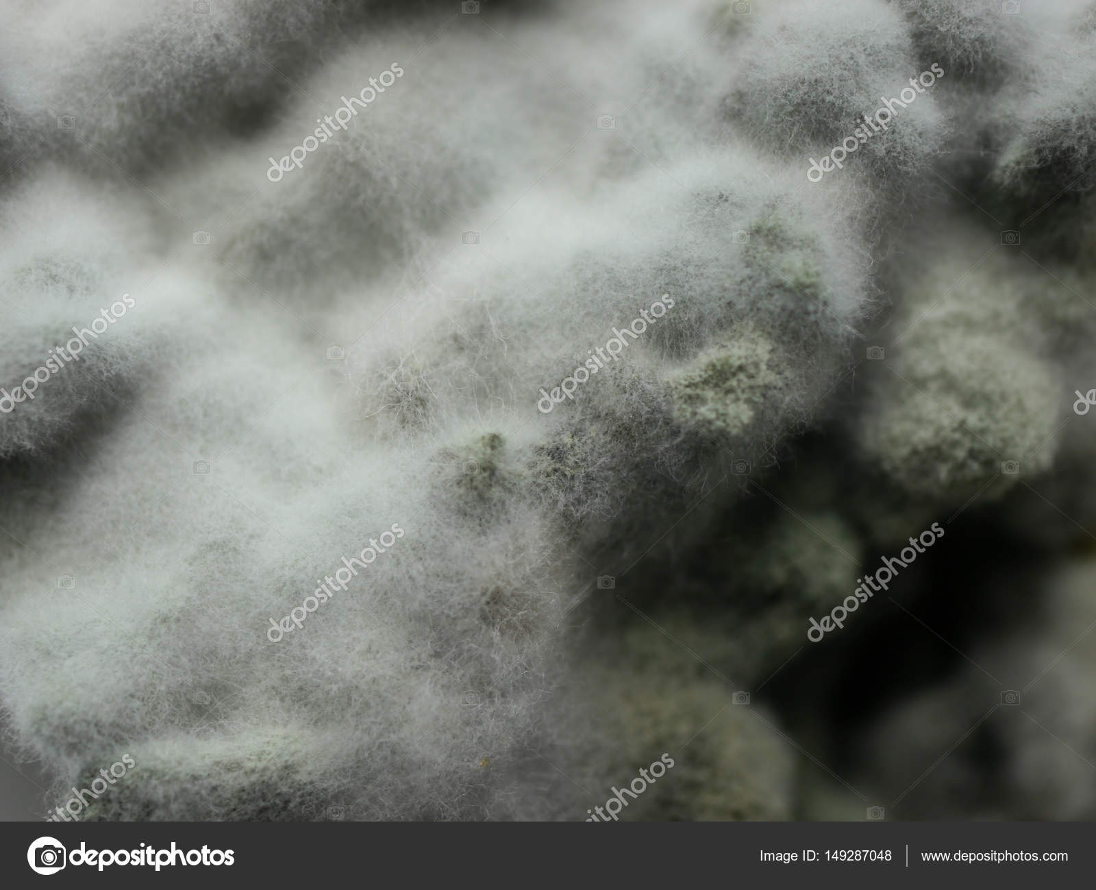 Mouldy food background Stock Photo by ©witoldkr1 149287048