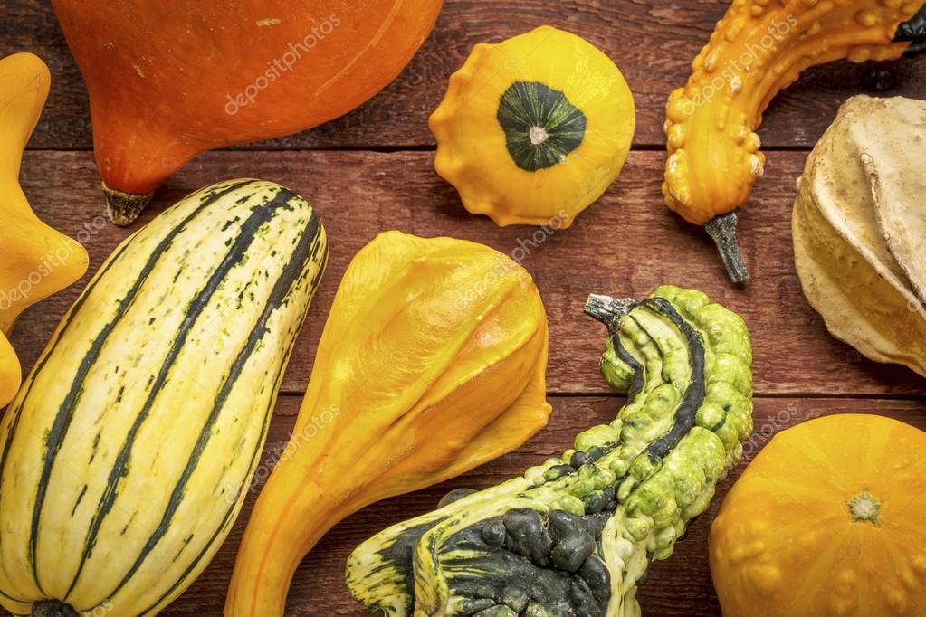 Gourd and winter squash collection Stock Photo by ©PixelsAway 127097900