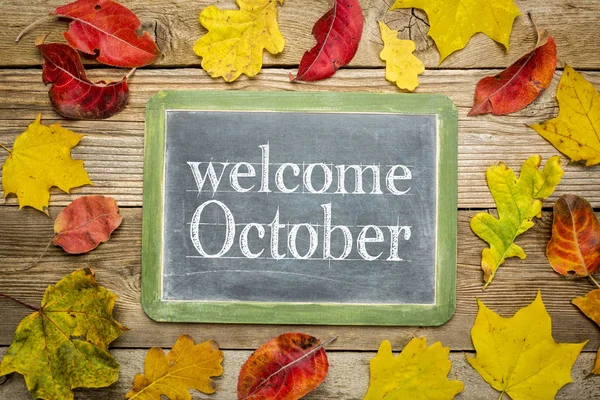 Welcome fall Stock Photos, Royalty Free Welcome fall Images | Depositphotos