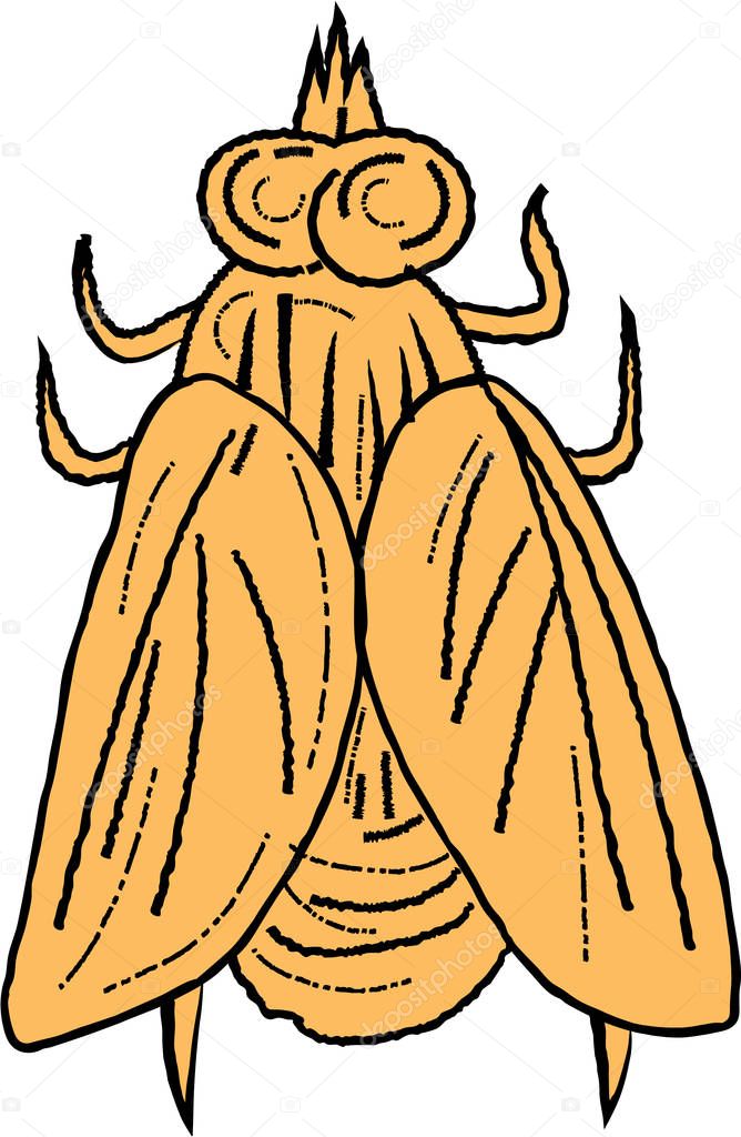 Dibujo de vista superior mosca Vector de stock por ©patrimonio 137428202