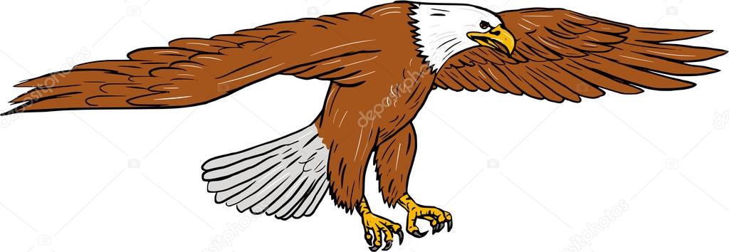 Sea eagle Stock Vectors, Royalty Free Sea eagle Illustrations ...