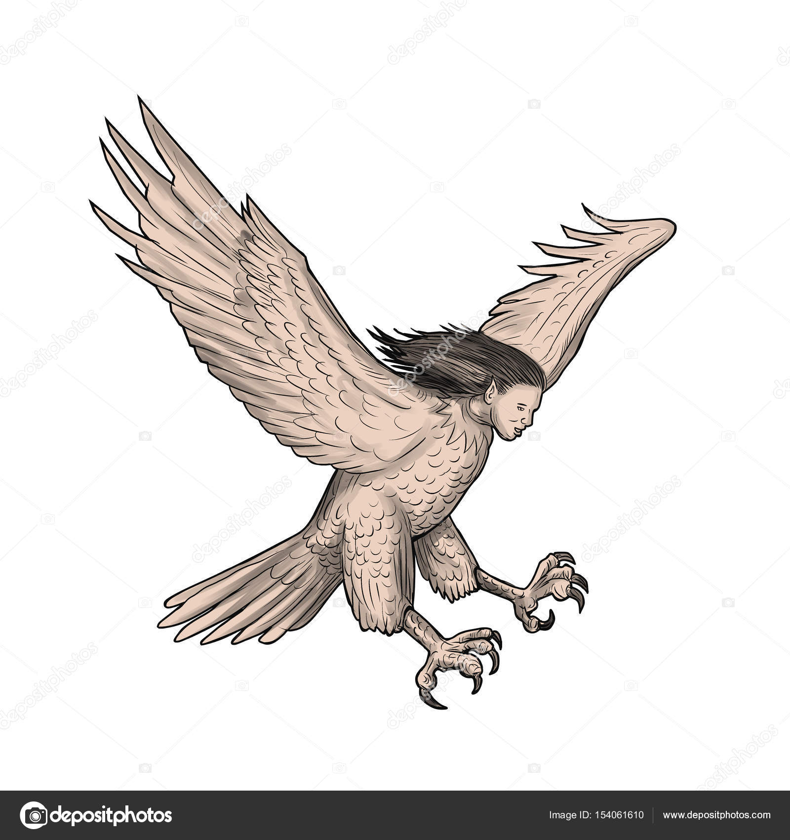 Harpy Swooping Tattoo Stock Illustration by ©patrimonio #154061610