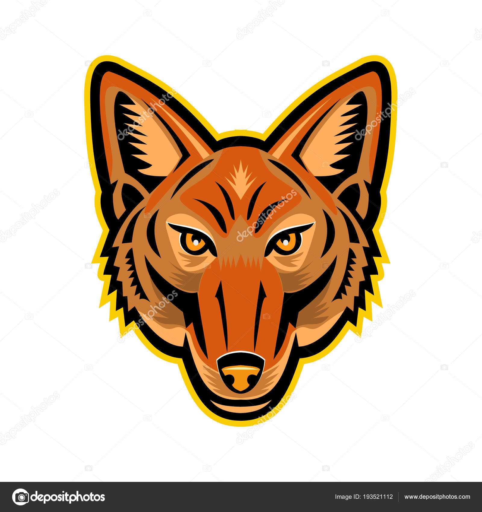 Jackal Face Drawing Jackal Face Images – Browse 4,521 Stock Photos,