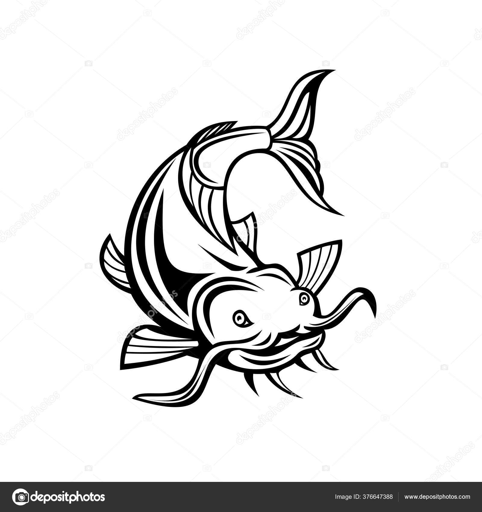 Illustration Catfish Ray Finned Fish Named Prominent Barbels Attacking ...