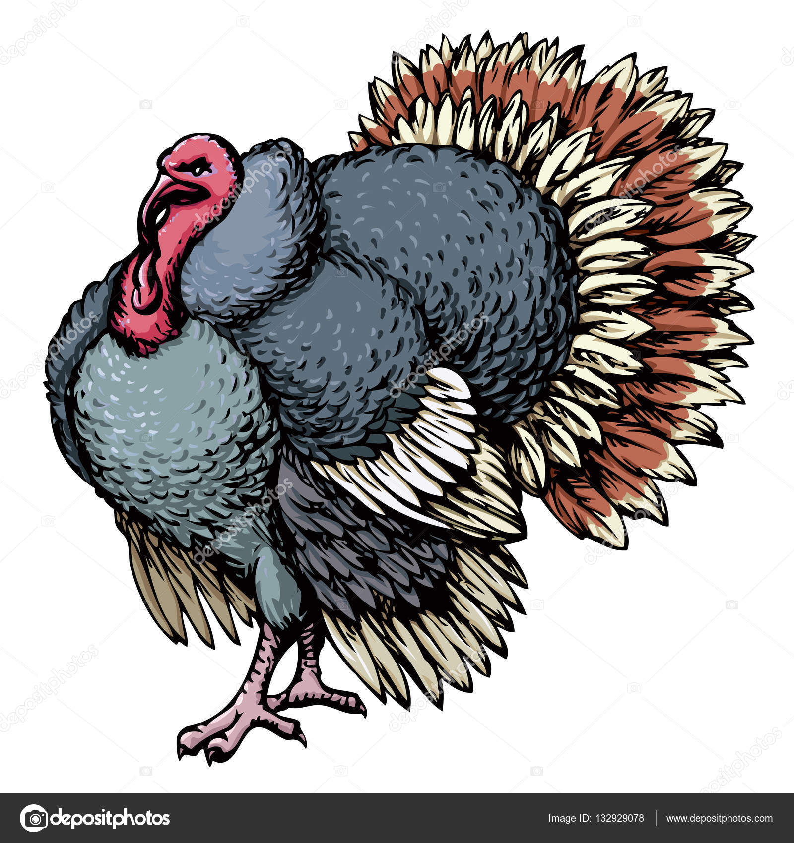 Turkey. Vector drawing — Stock Vector © Marinka #132929078