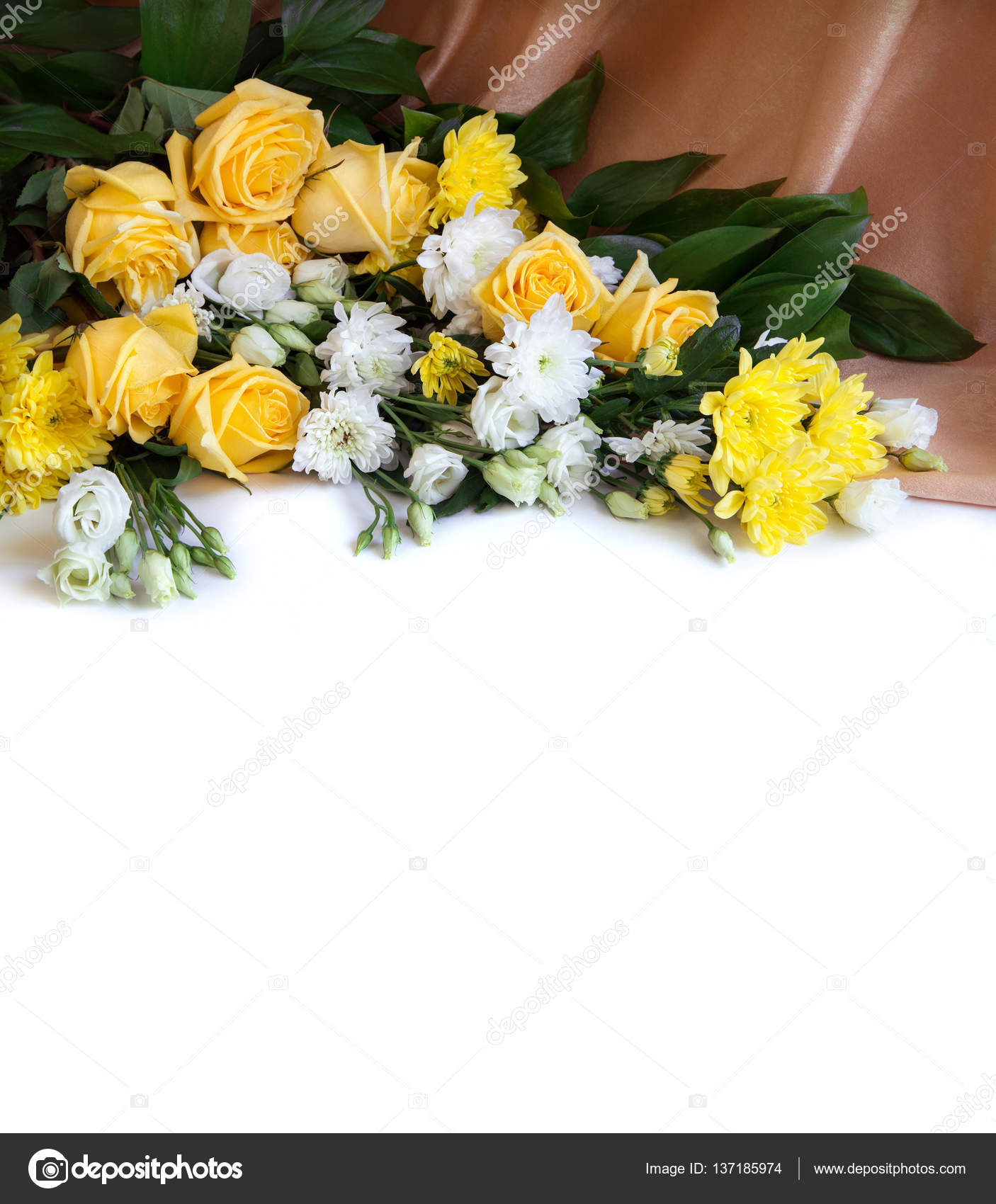 Beautiful flowers with white background for text — Stock Photo ...