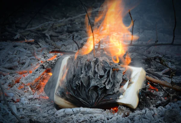 Burning book Stock Photos, Royalty Free Burning book Images | Depositphotos
