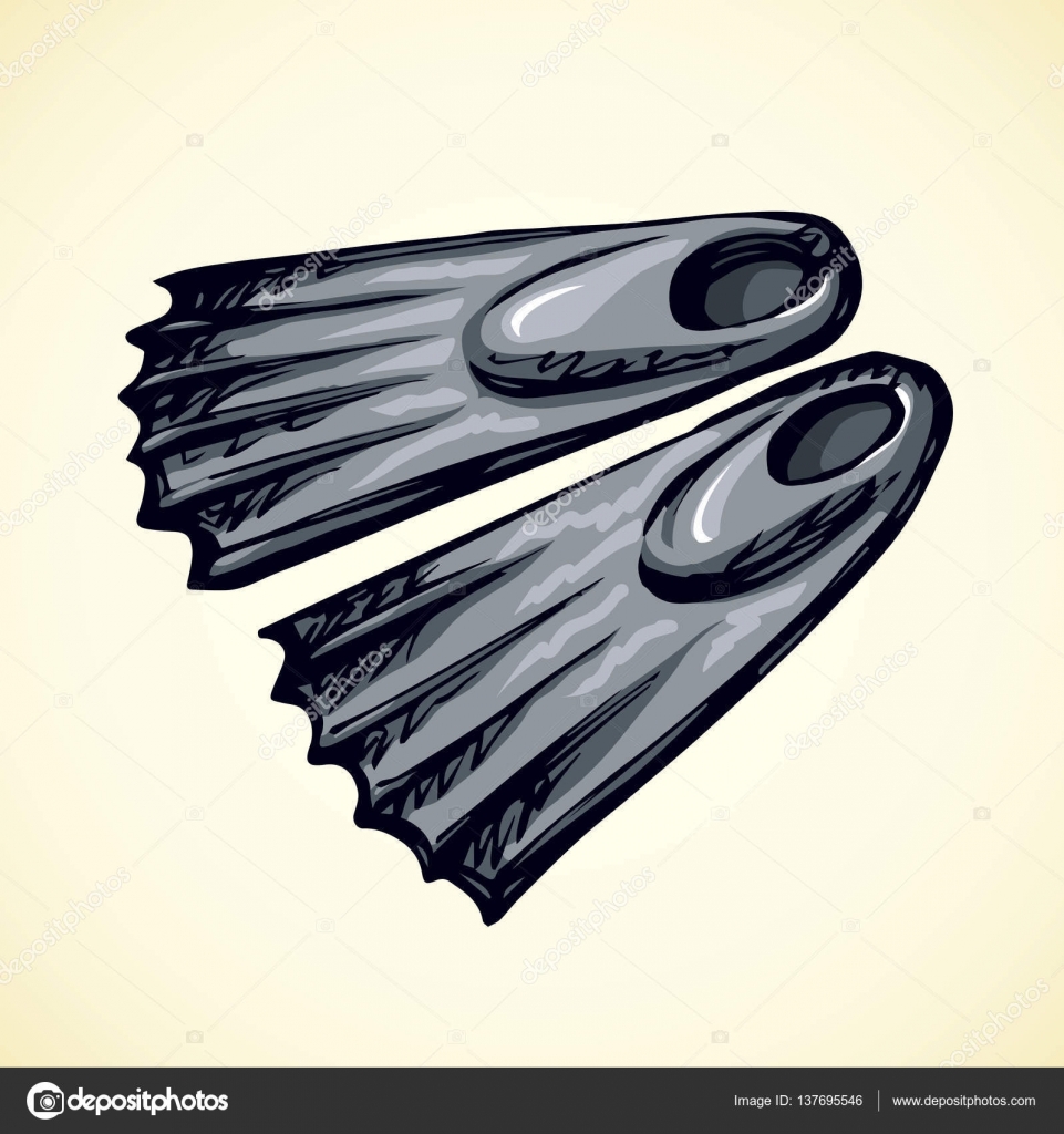 Flippers. Vector drawing Stock Vector by ©Marinka 137695546