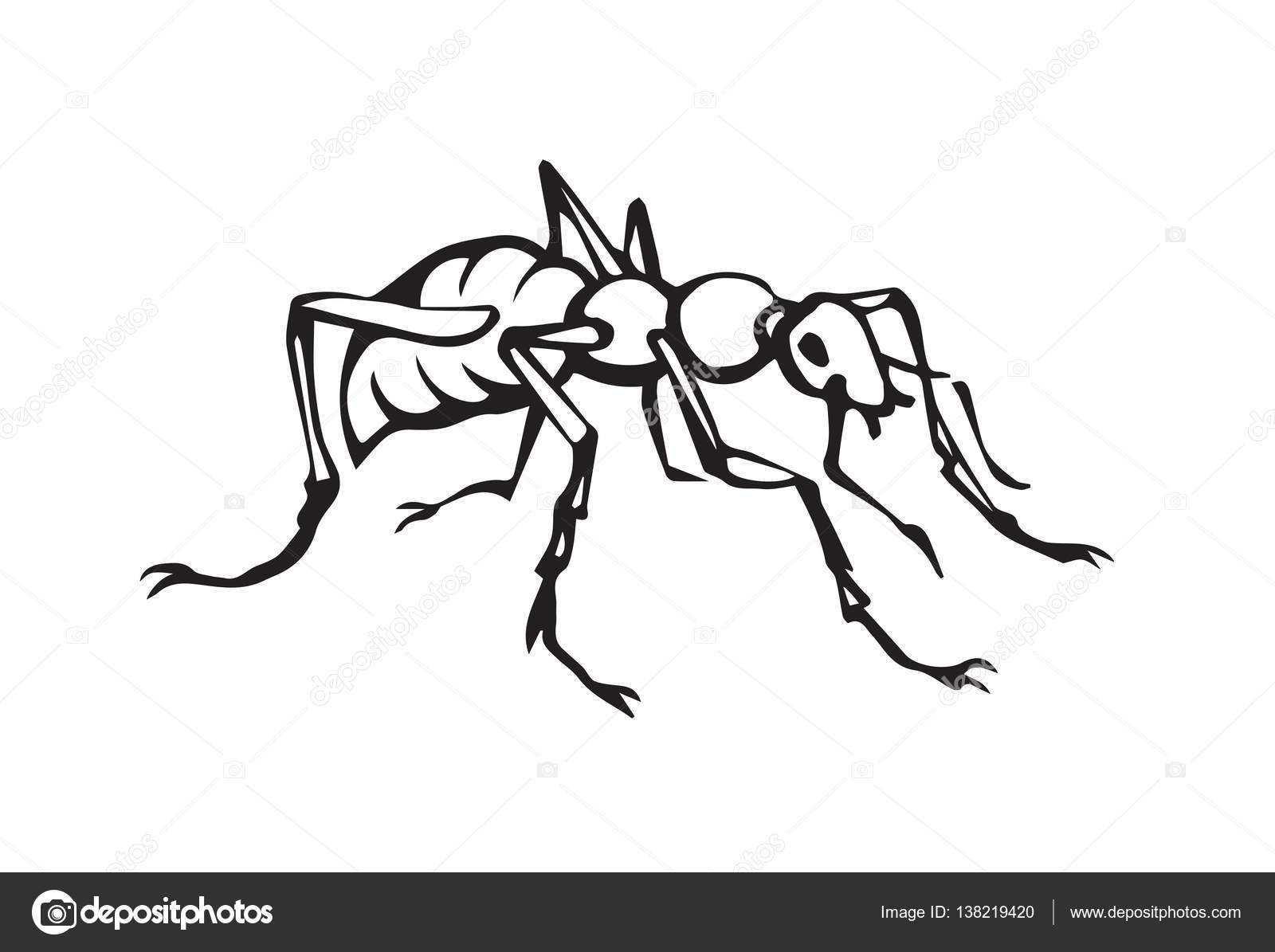 Hormiga. Dibujo vectorial Vector de stock #138219420 de ©Marinka