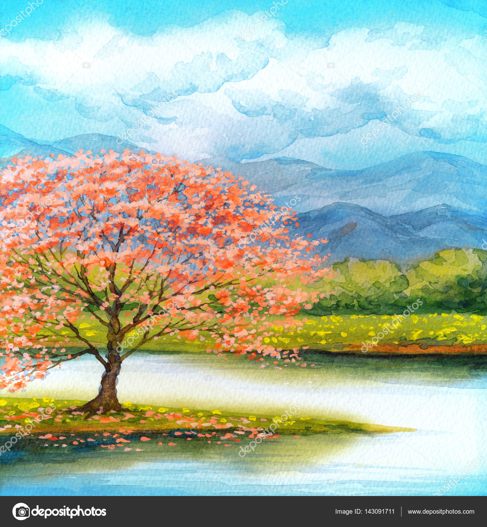 Watercolor landscape. Flowering pink tree by lake Stock Photo by ...