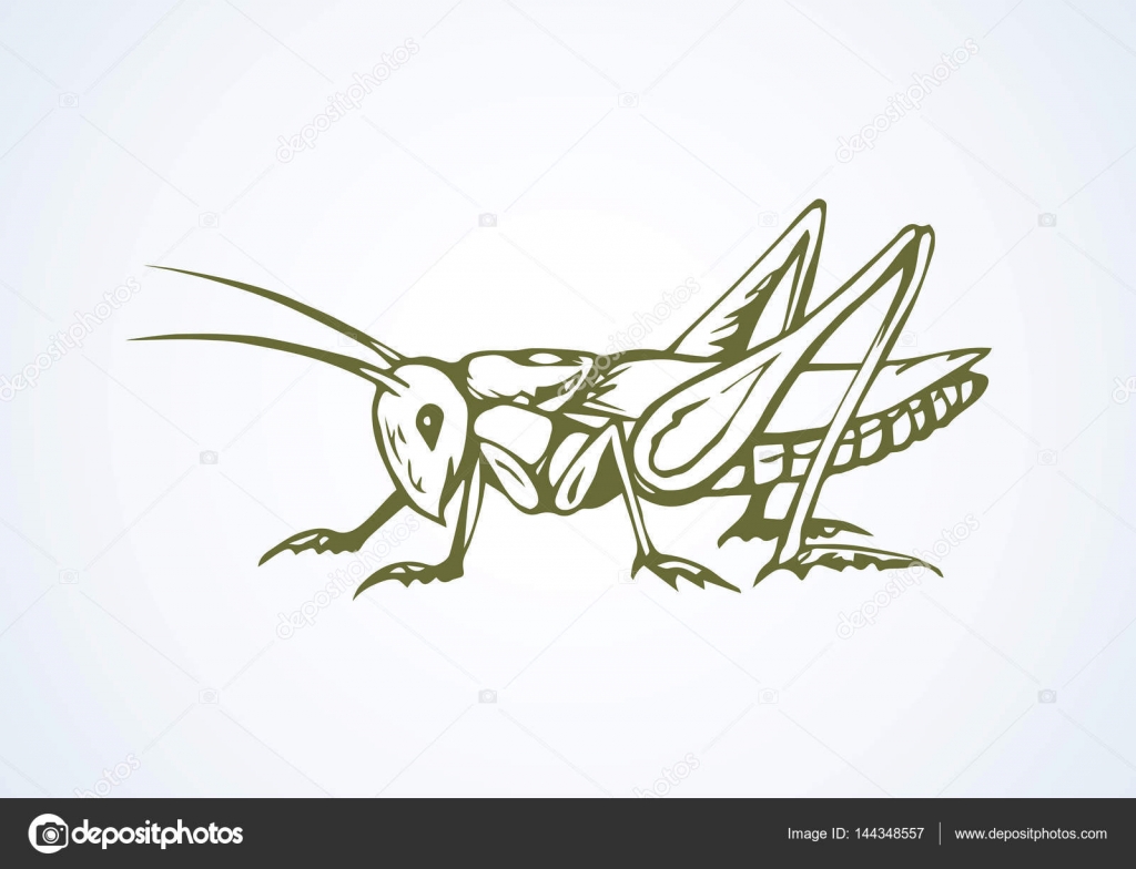 Cute Grasshopper Outline