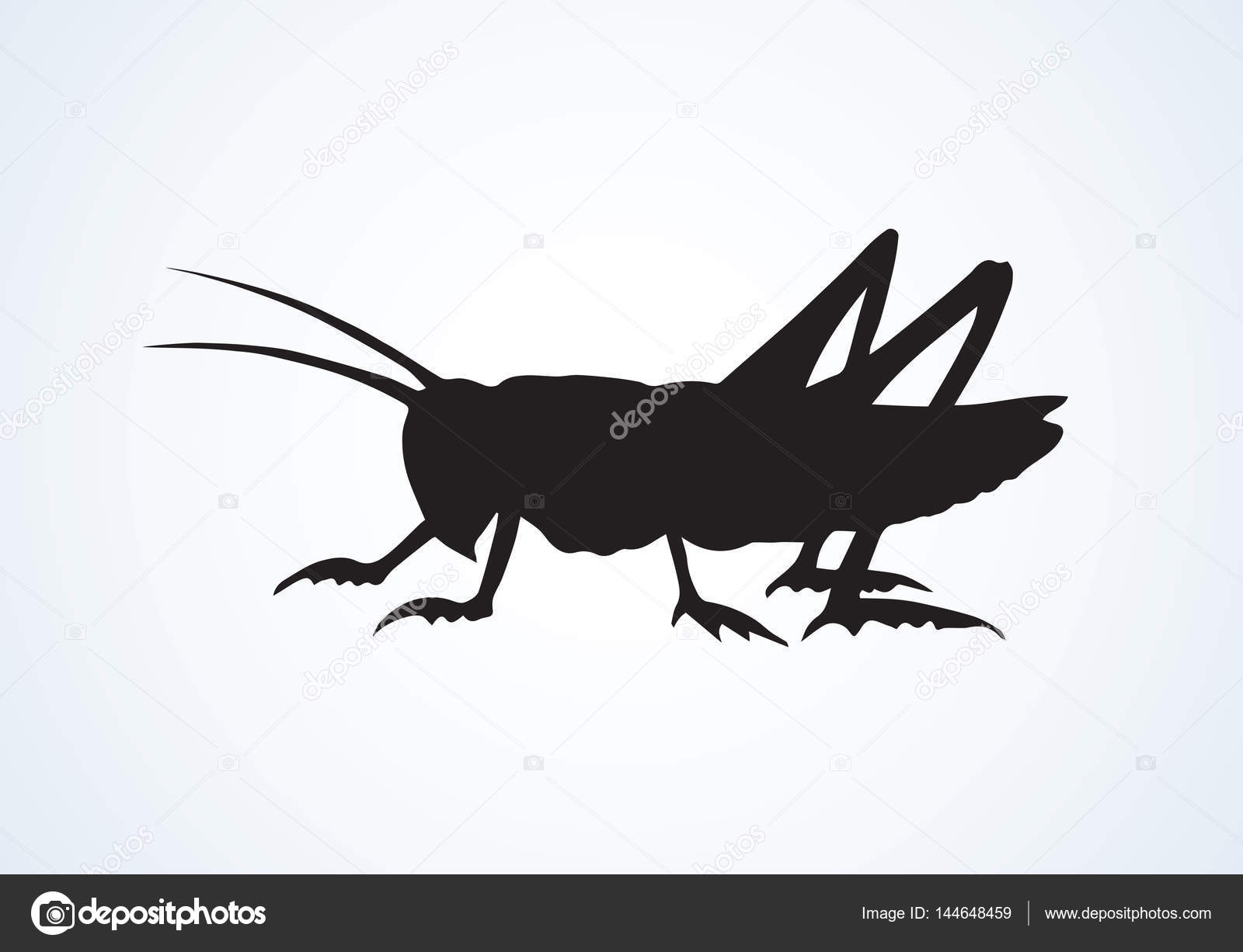 Grasshopper Drawing Outline