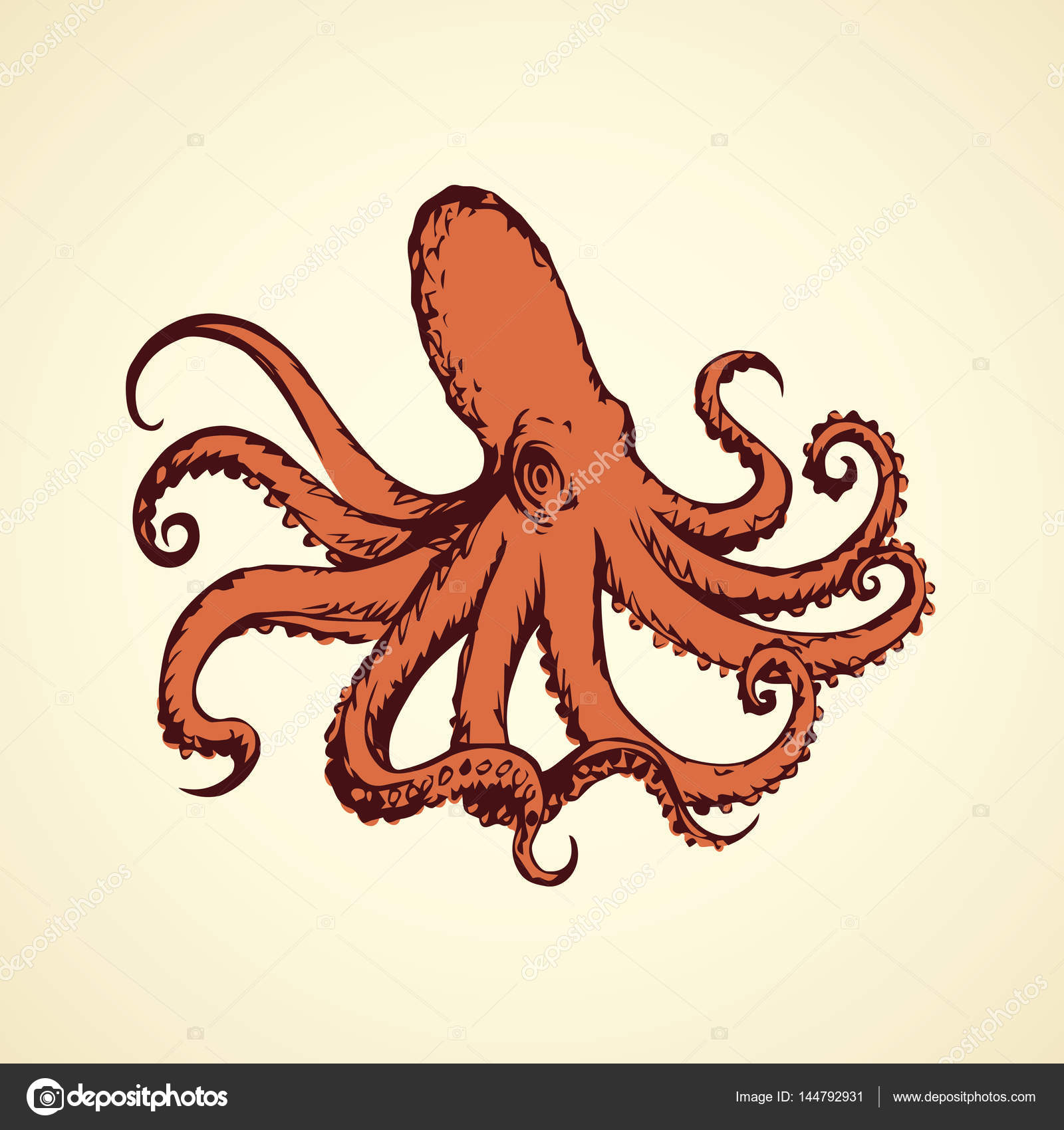 Giant Devilfish Octopus