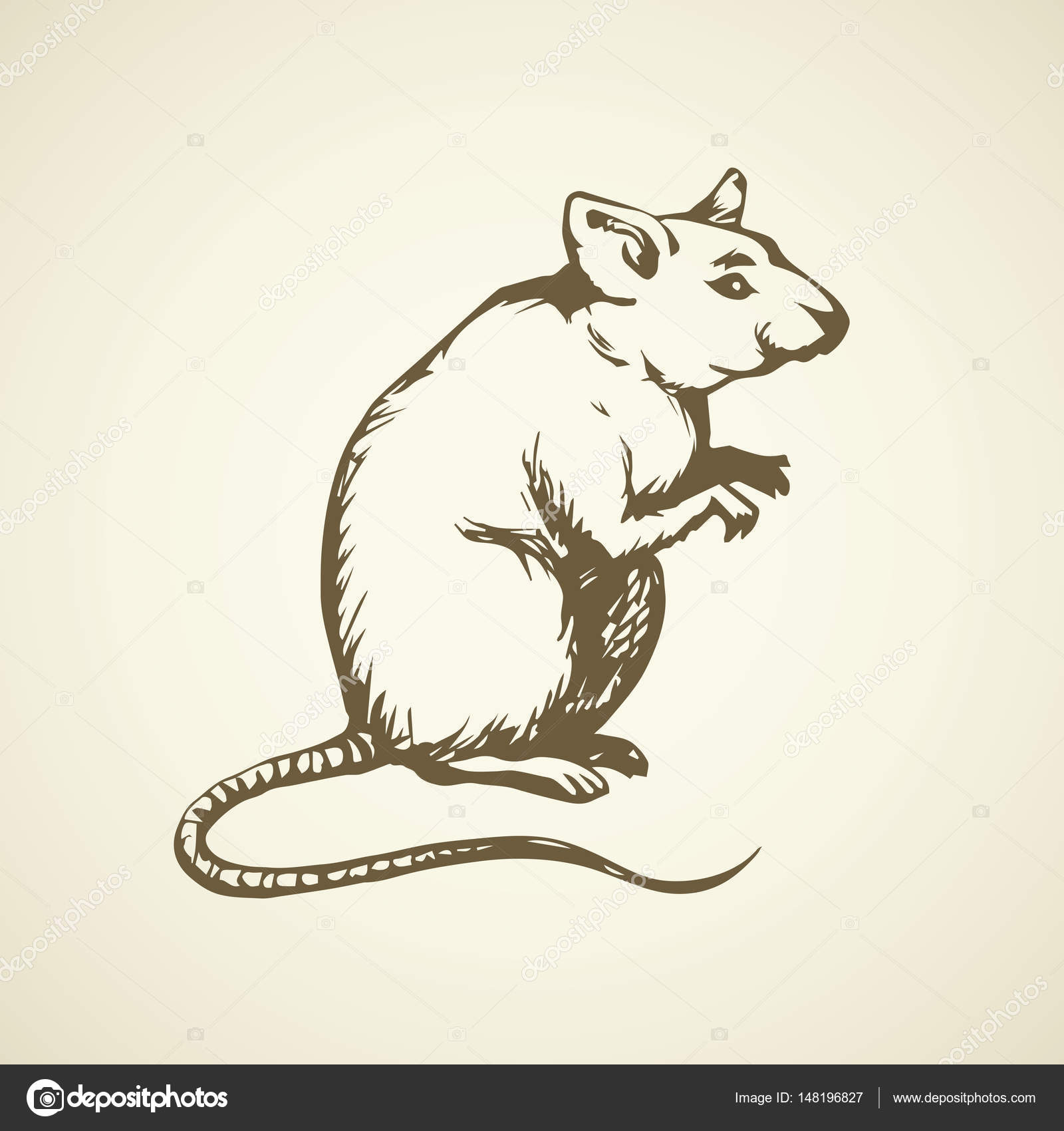 Mouse. Vector drawing Stock Illustration by ©Marinka #148196827