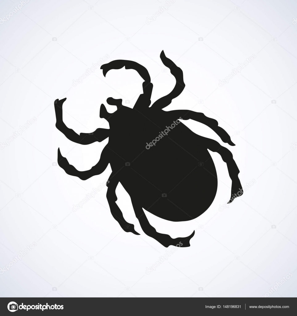 Mite. Vector drawing — Stock Vector © Marinka #148196831
