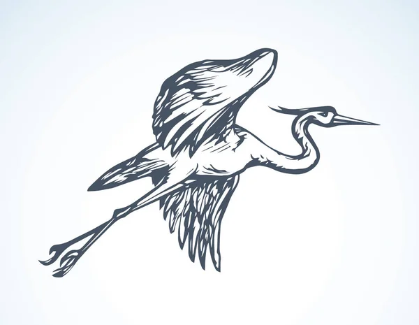 26,304,335 Garza dibujo Vector Images | Depositphotos