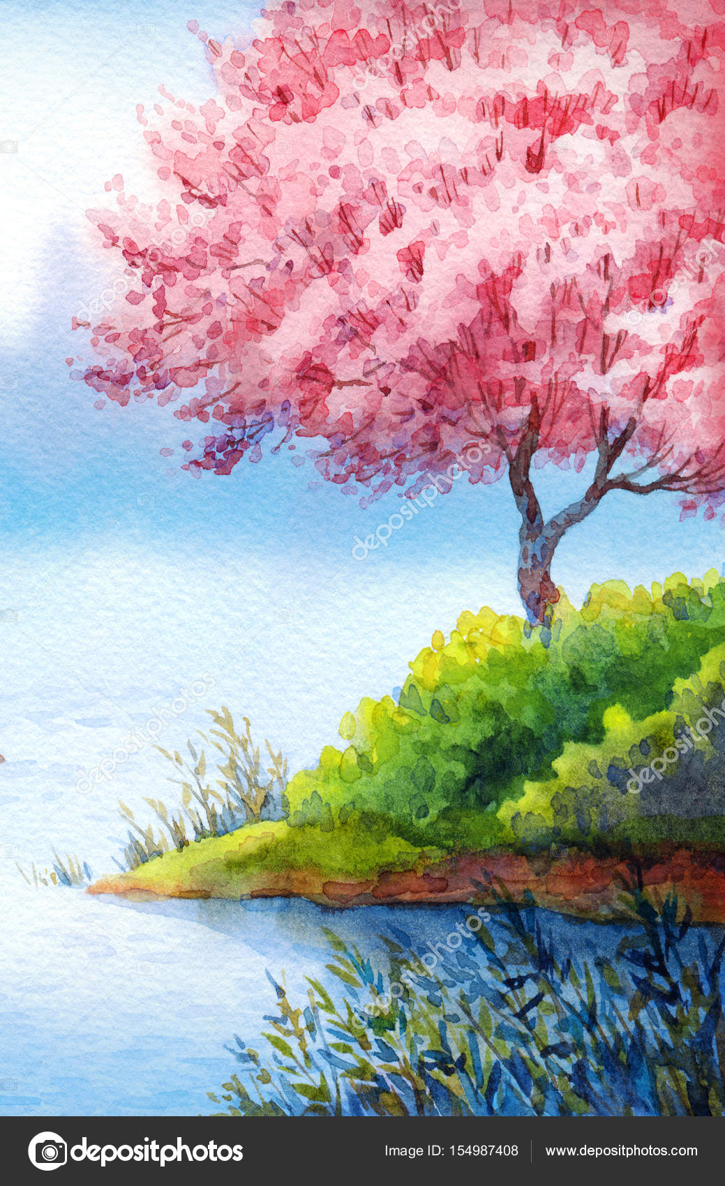 Spring watercolor landscape. Flowering trees over lake Stock ...
