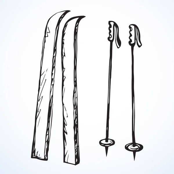 Esquiar. Dibujo vectorial 2024