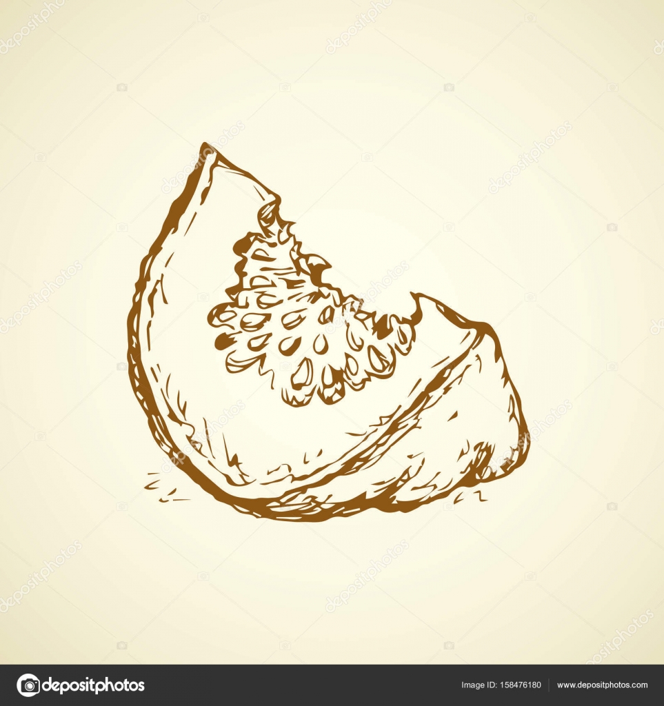 Piece of pumpkin. Vector drawing Stock Vector Image by ©Marinka #158476180