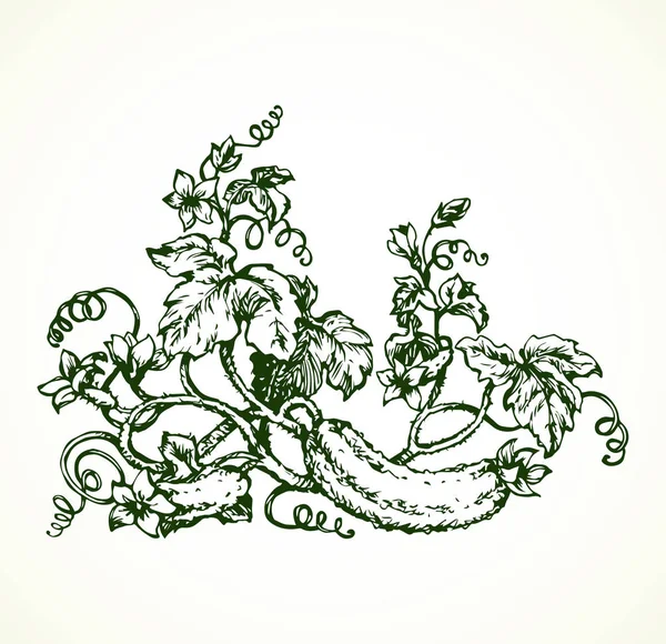 Branches beans. Vector drawing Stock Vector Image by ©Marinka #121571700