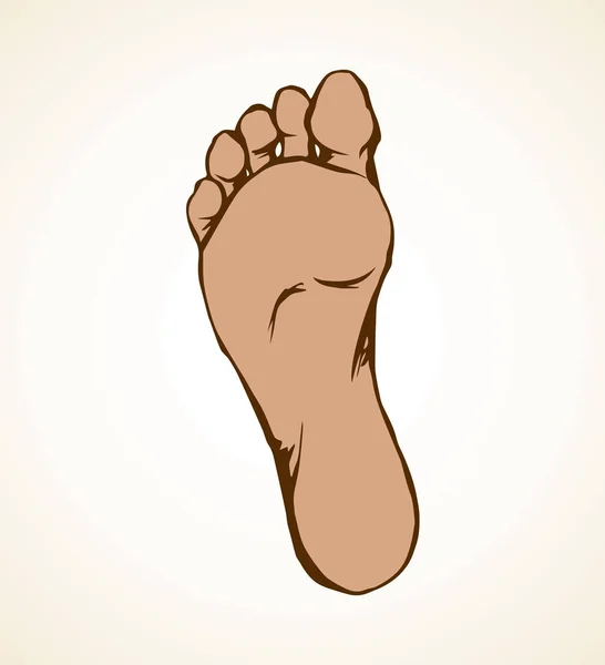Foot. Vector drawing — Stock Vector © Marinka #164364370