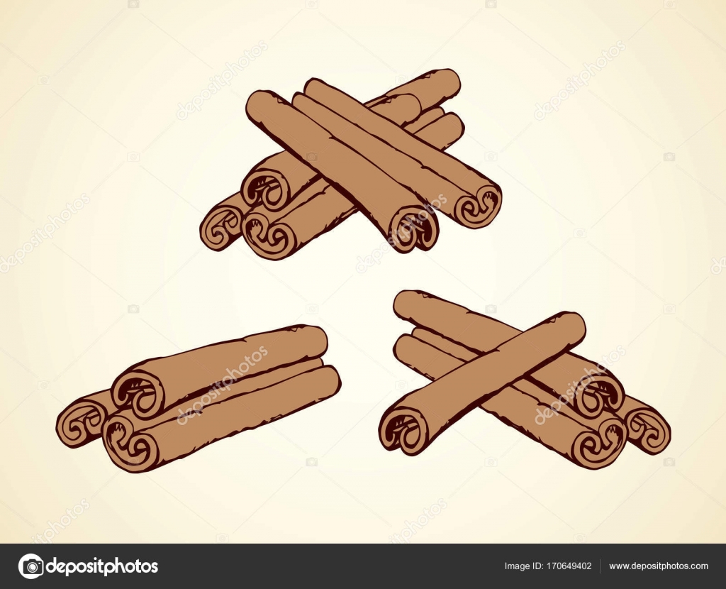 Cinnamon. Vector drawing Stock Vector Image by ©Marinka #170649402