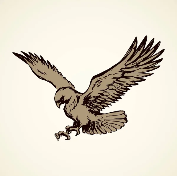 Eagle. Vector drawing Stock Illustration by ©Marinka #272880314