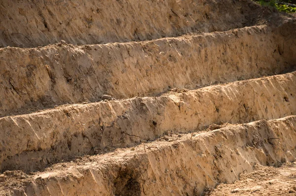 Staircase ground earth Pictures, Staircase ground earth Stock Photos ...