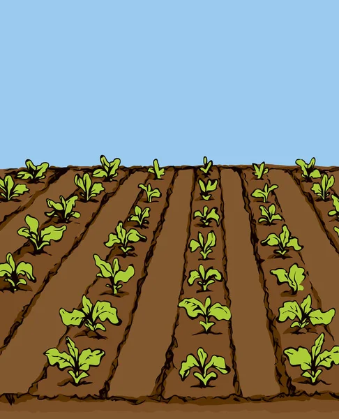 Agronomy Vector Art Stock Images | Depositphotos