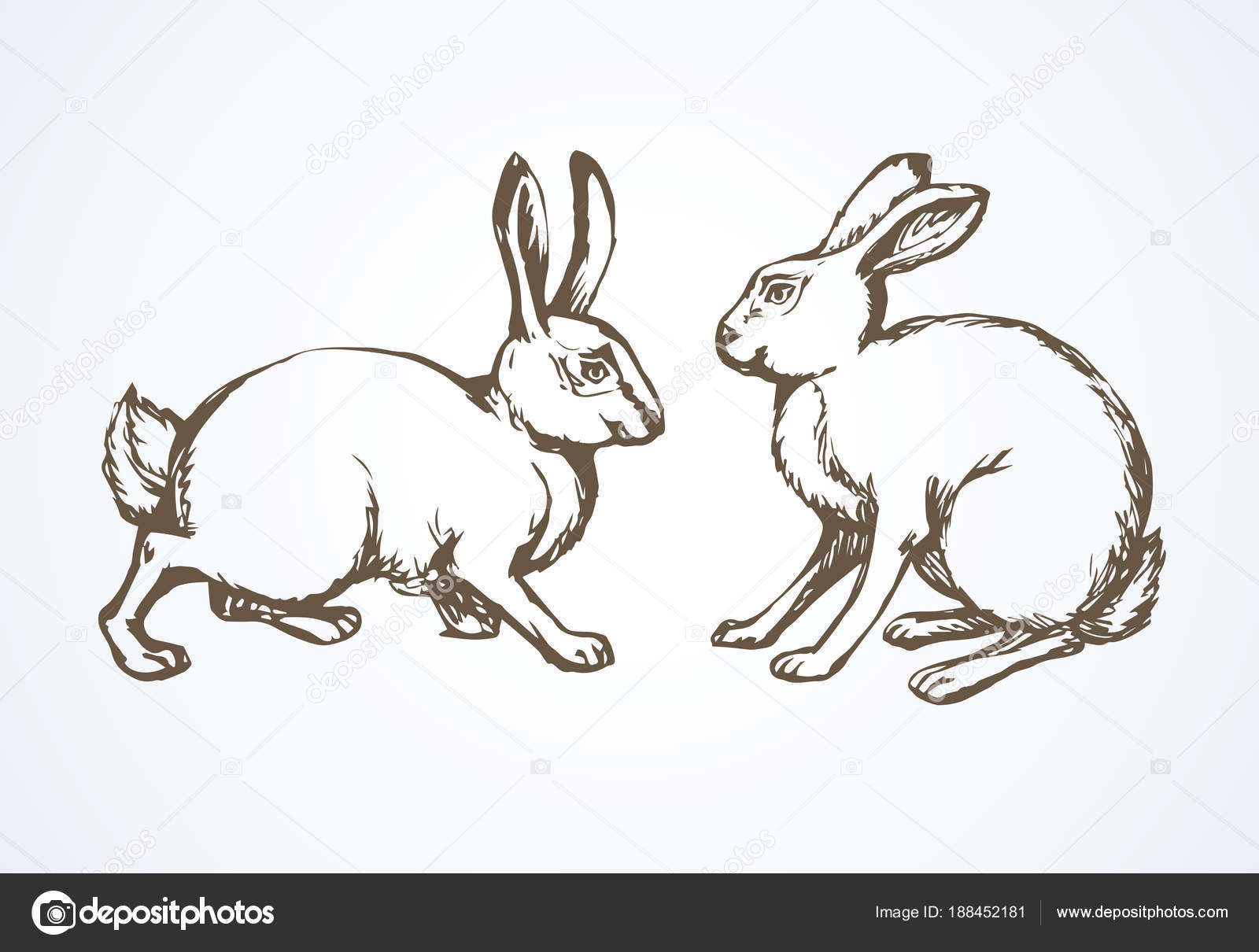 Liebre. Dibujo vectorial Vector de stock por ©Marinka 188452181