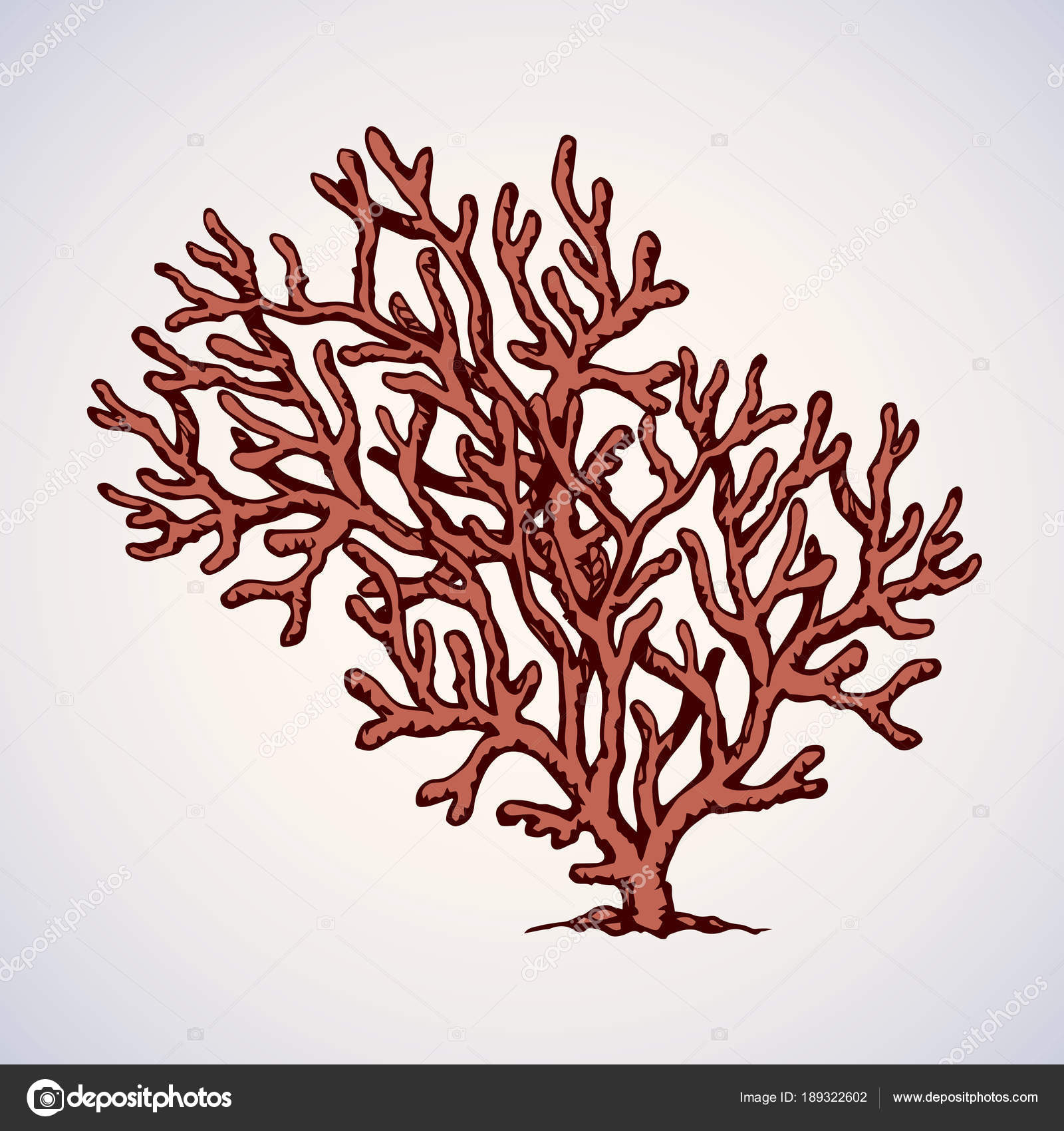 Coral. Vector drawing Stock Vector Image by ©Marinka #189322602